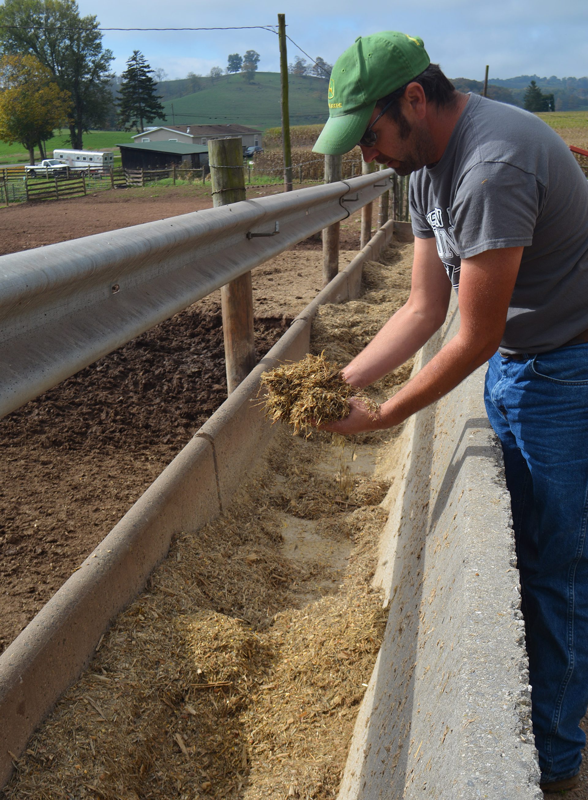 Crows Eating your Crops? | Greenwood Silo