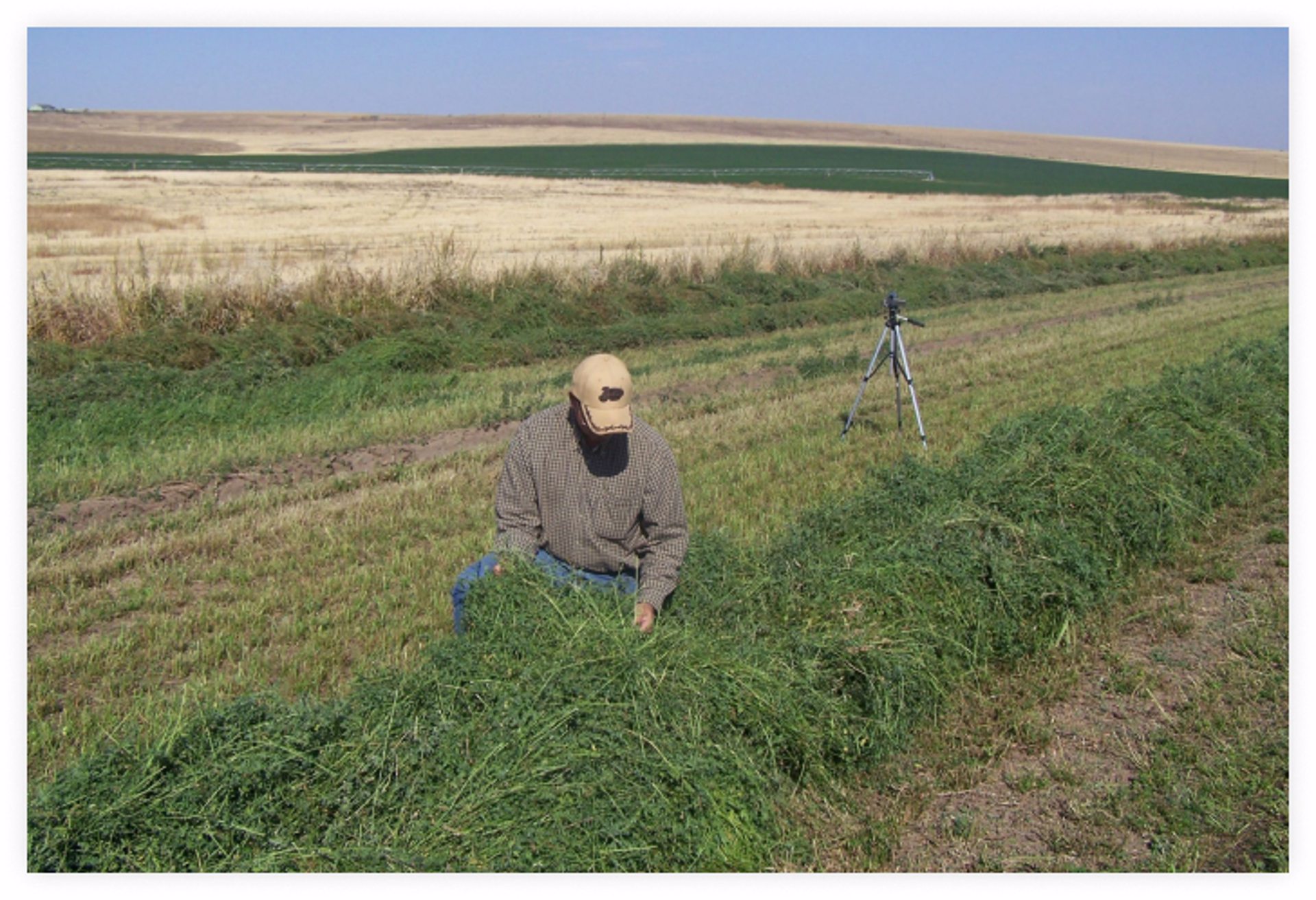 Wheel Hay Rakes | Greenwood Silo